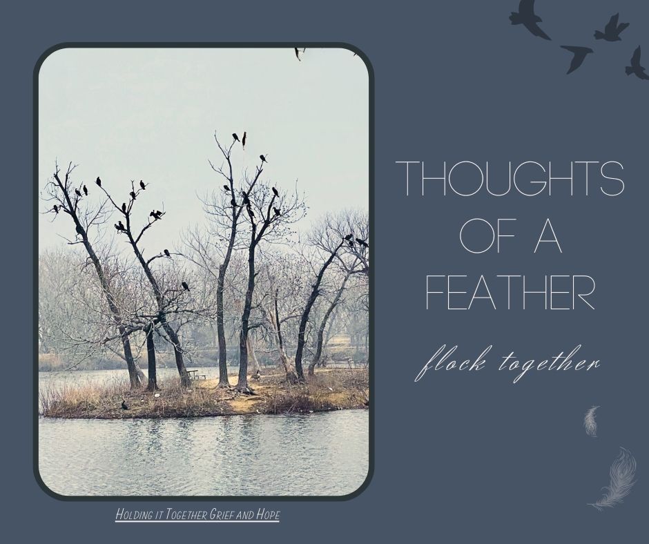 Thoughts of a Feather Flock Together – Holding it Together…Grief and Hope